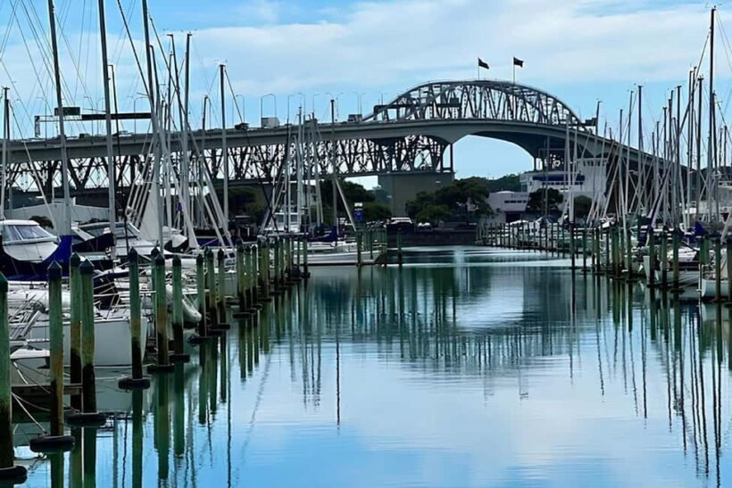 Private Auckland Best Top 5 Spots Half day Tour - Key Points