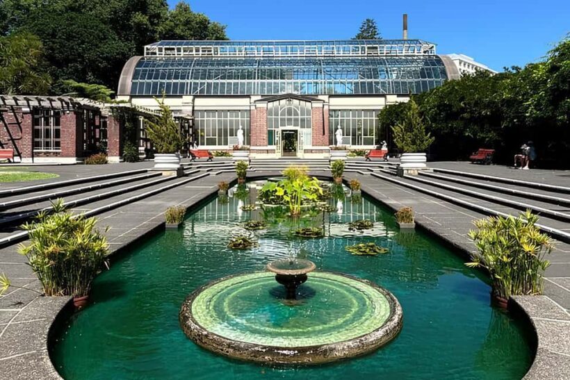 Private Auckland Best Top 5 Spots Half day Tour - The Inside Scoop on What to Expect