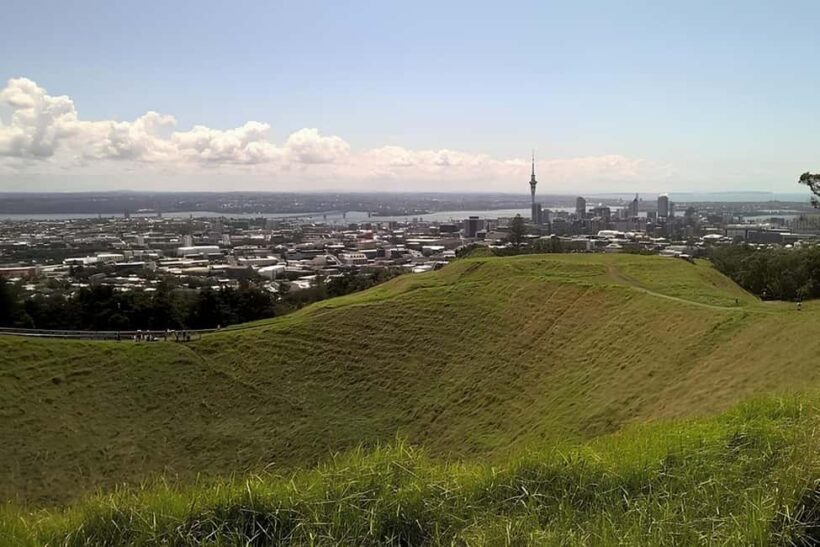 Private Auckland Best Top 5 Spots Half day Tour - Who Is This Tour Best For?
