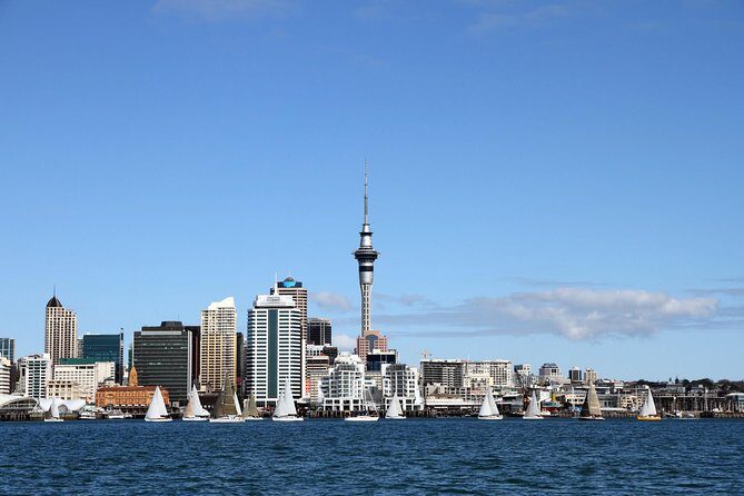 Private Auckland City Tour For Small Group in a luxury vehicle. - Starting at Auckland Museum