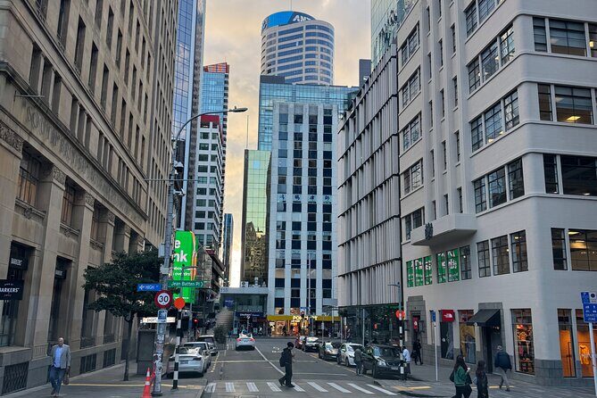 Private Auckland City Tour Including Auckland Tour House Visit - Detailed Breakdown of the Itinerary