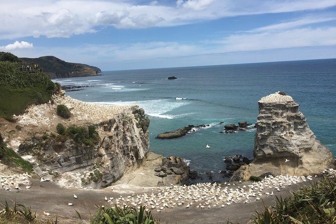 Private Auckland City Tour Including Auckland Tour House Visit - The Value and Pricing