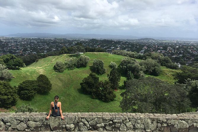 Private Auckland City Tour Including Auckland Tour House Visit - Who This Tour Is Best For