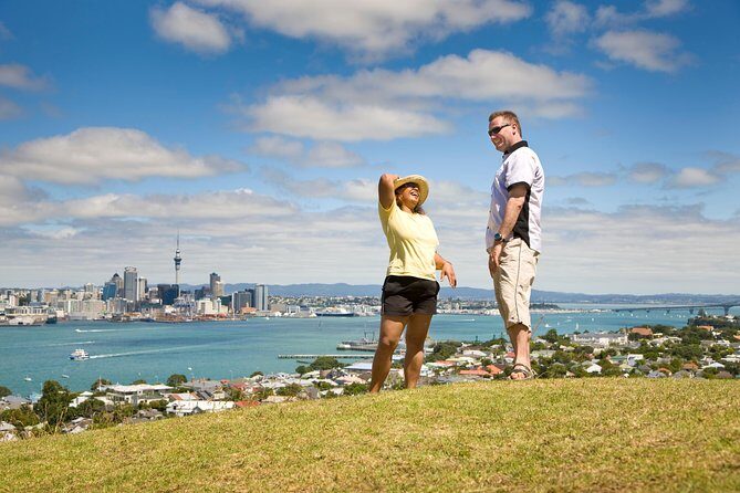 Private Auckland Half Day Tour - An In-Depth Look at the Itinerary