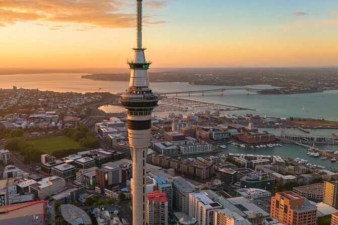 Private Auckland Half Day Tour of Attractions and Museums - Key Points