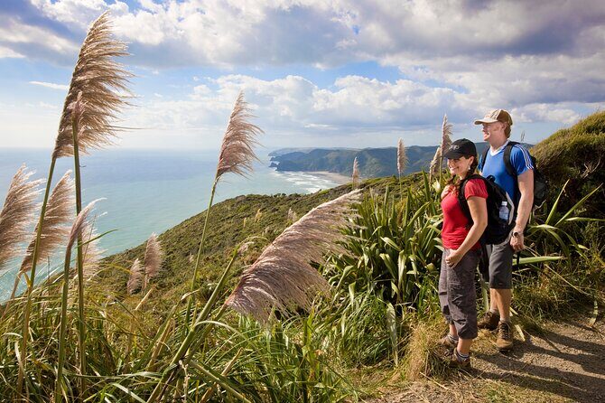 Private Auckland Luxury Tour - Final Thoughts
