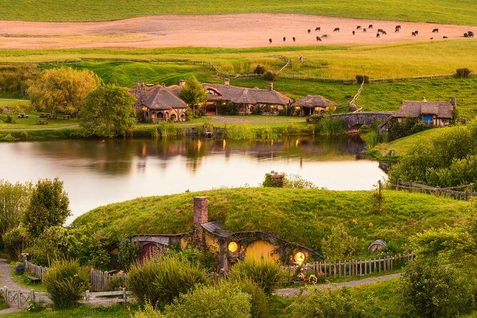 Private Auckland Maori Luxury Tour - Price and Value Analysis