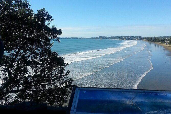 Private Auckland North Eastern Coast Tour - What’s the Value of This Tour?