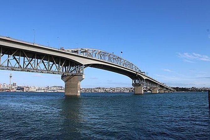 Private Auckland Shore Excursion: Half-Day City Highlights - The Sum Up
