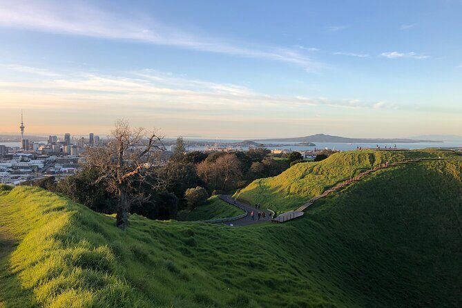 Private Auckland Tour - Exploring Auckland with a Private Tour: An Honest Review