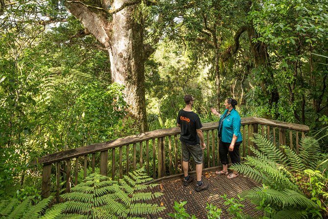 Private Auckland West Coast Day Tour - An Introduction to the Tour