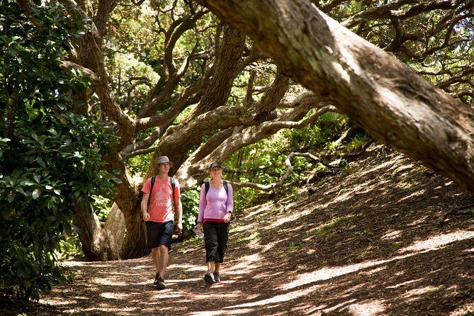 Private Auckland West Coast Day Tour - What You’ll Love About This Tour