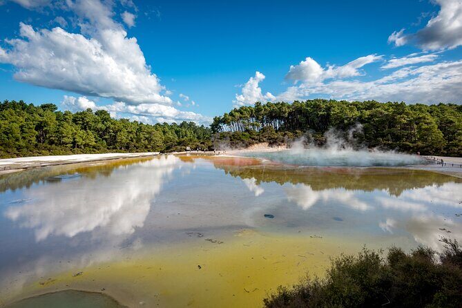 Private Auckland Wine & Dine Matakana Country & Cuisine - Authentic Experiences & Authenticity