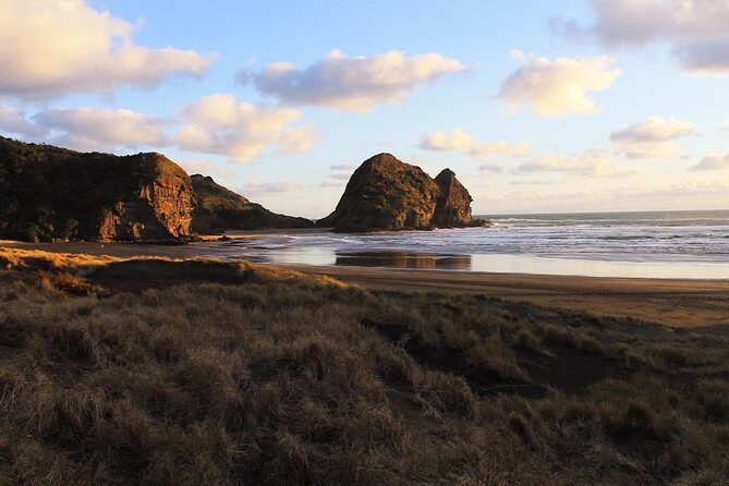 Private Auckland's West Coast - Piha/ Muriwai - Wild West Tour - Who Is This Tour Best For?