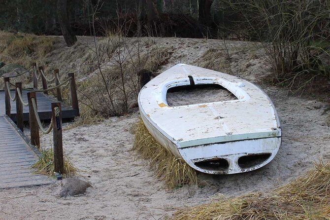 Private audio book city rally around the Rombergpark in Dortmund - Key Points