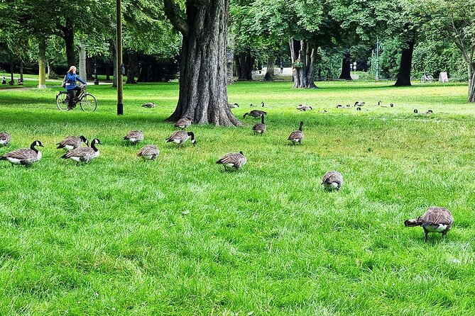 Private audio book city rally in the Volksgarten in Cologne - Who Will Love This Tour?