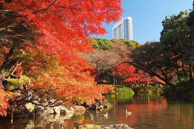 Private Audio Guided Walking Tour in Tokyo - Common Questions