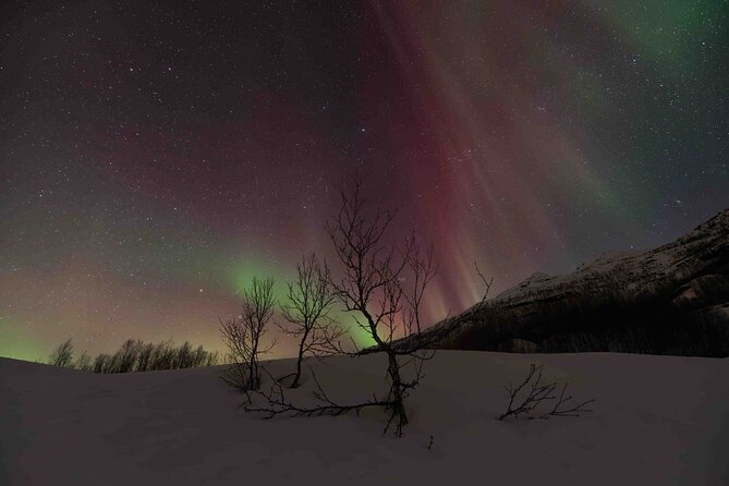 Private Aurora Hunting with Professional Photographer from Alta - Key Points