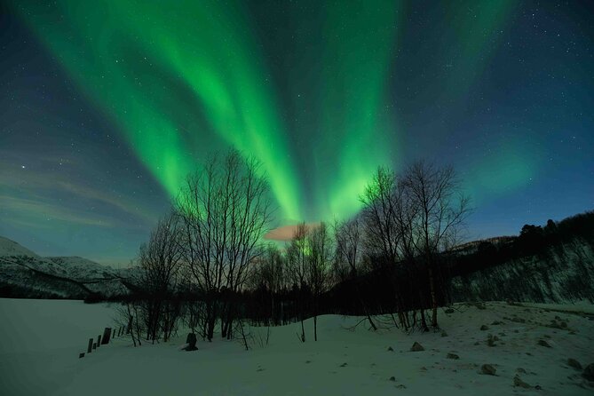 Private Aurora Hunting with Professional Photographer from Alta - The Food and Comfort Elements