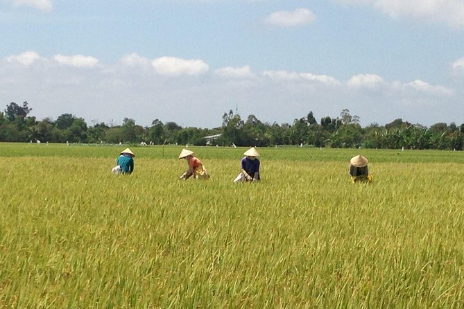 Private Authentic Mekong River Full Day Trip - Non Touristic Mekong delta - An In-Depth Look at the Mekong Full-Day Experience