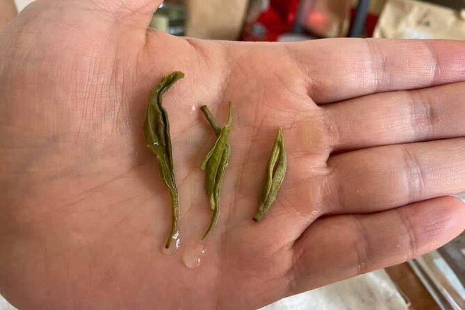 Private Authentic Tea Experience in Prague - Knowledgeable Host and Interaction