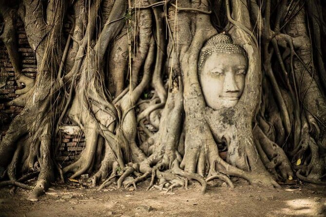 PRIVATE Ayutthaya + SUNSET Boat Tour + Light up The NIGHT - Who Should Consider This Tour?