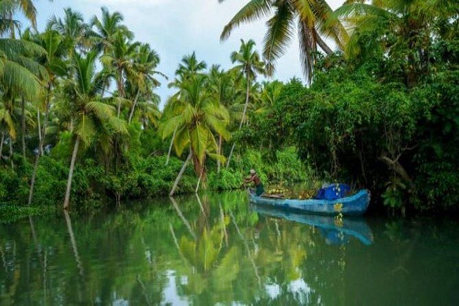 Private Backwater Cruise on a Houseboat and Shikara including Lunch - Practical Tips for Your Krishna Backwater Day