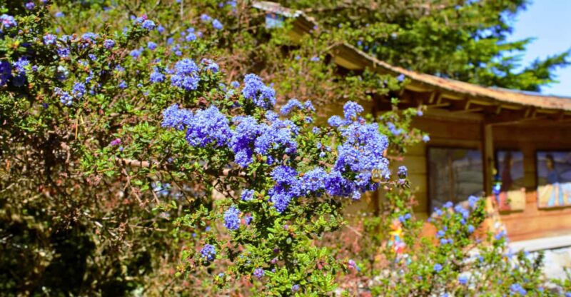 Private Bainbridge Island Discovery Tour - What Does the Tour Cover?