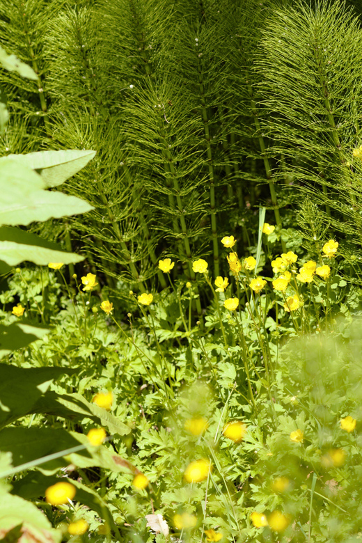 Private Bainbridge Island Discovery Tour - The Practical Side: Logistics and Value