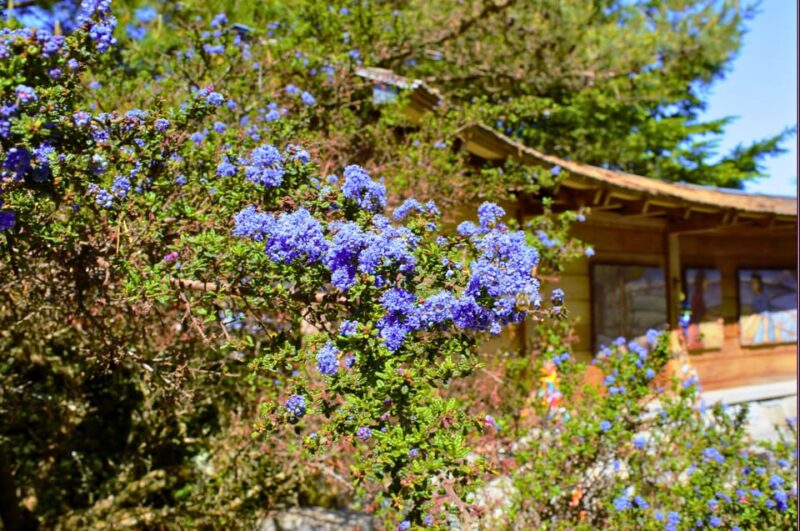 Private Bainbridge Island Discovery Tour - Authentic Experiences and Traveler Feedback