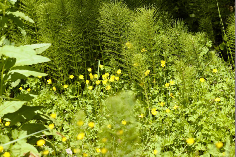 Private Bainbridge Island Discovery Tour - Frequently Asked Questions