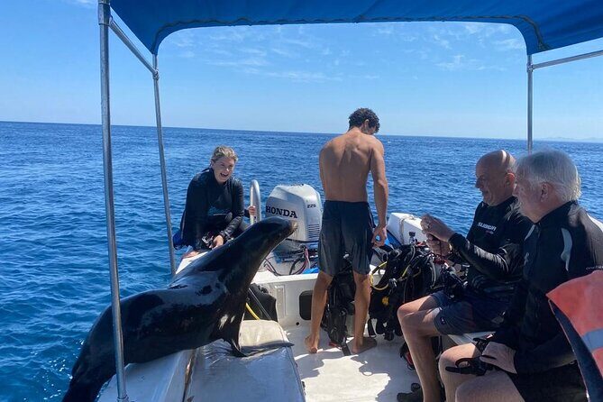Private Balandra Bay Adventure - The Itinerary: What to Expect on the Private Balandra Bay Adventure