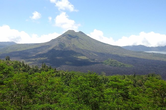 Private Bali Countryside Tour guided by AGUS - FAQ