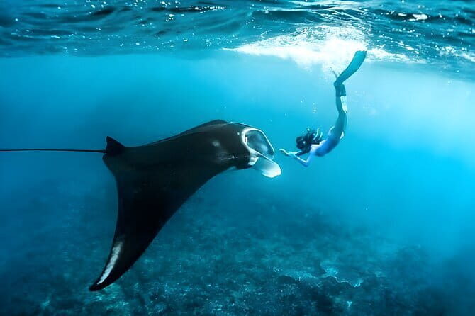 Private Bali Horse Riding and Surf lesson in Seminyak Beach - Who Should Consider This Tour?
