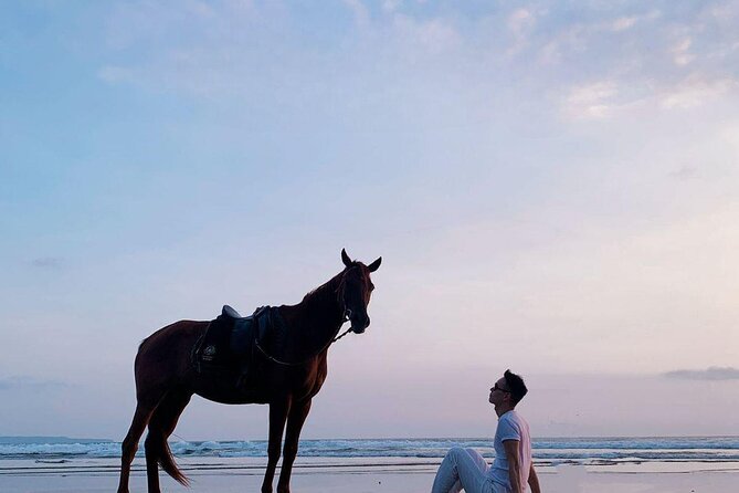 Private Bali Horse Riding In Seminyak Beach - The Value Proposition