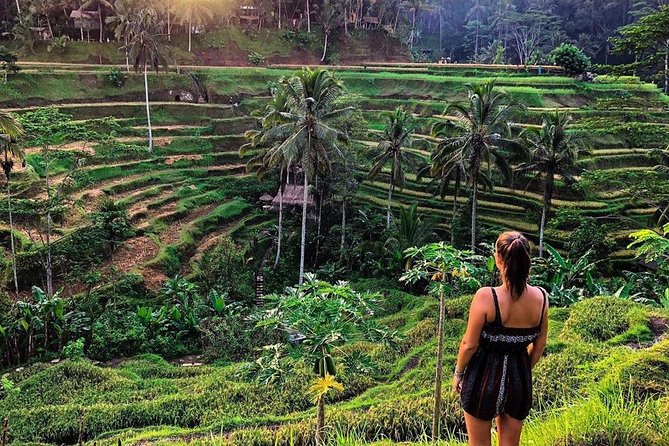 Private Bali Tour: Wonderful Ubud with Swing - Who Should Book This Tour?