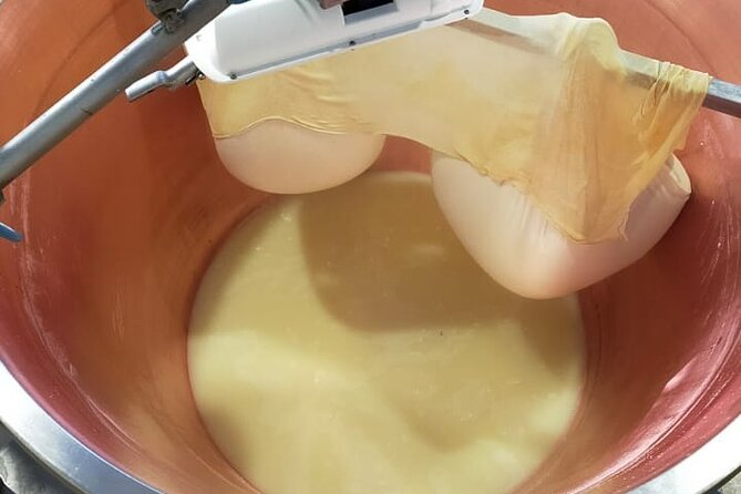 Private Balsamic Vinegar & Parmigiano Reggiano Factory Visits - Transportation and Meeting Details