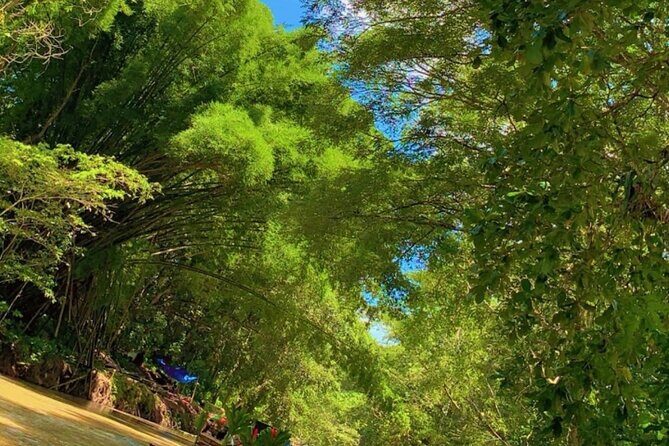 Private Bamboo River Rafting & Foot Massage from Montego Bay - The Sum Up
