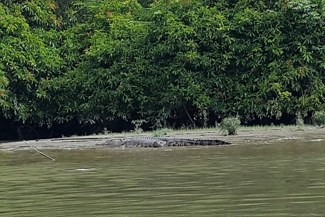 Private Bandar Highlight, Water Village & Proboscis Monkey Tour - Practical Details and Value