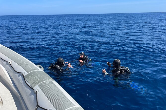 Private Baptism in the Bay of Calvi - Health and Accessibility