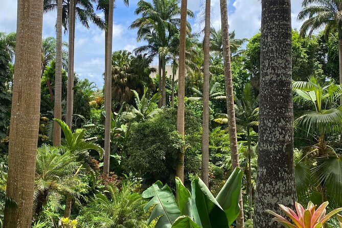 Private Barbados Island Tour - Authentic Experiences and Hidden Gems