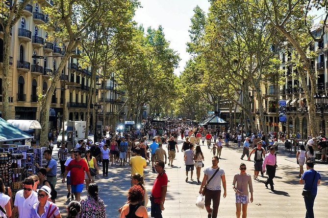 Private Barcelona and Park Güell Tour With Hotel Pick-Up - Lowest Price Guarantee