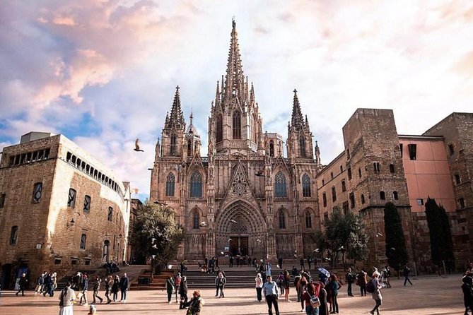 Private Barcelona Walking Tour & Wine Tasting + Tapas Dinner - Final Thoughts