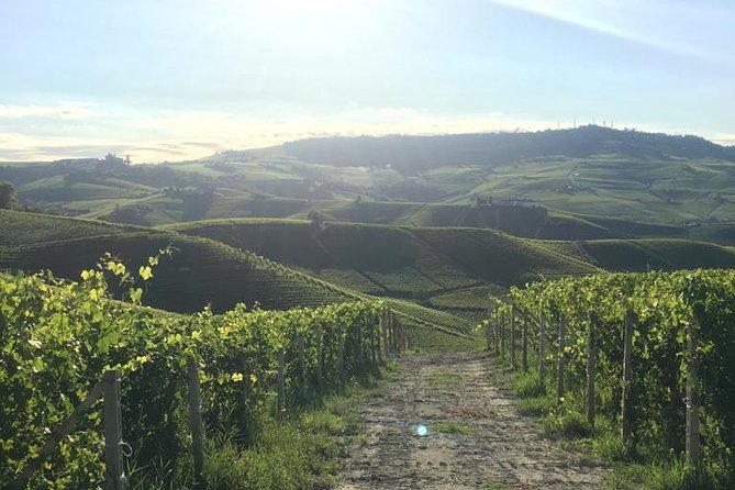 Private Barolo / Barbaresco - Piedmont Wine Tours and Tastings - Transportation and Logistics