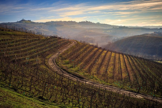 Private Barolo / Barbaresco - Piedmont Wine Tours and Tastings - Guest Testimonials and Ratings
