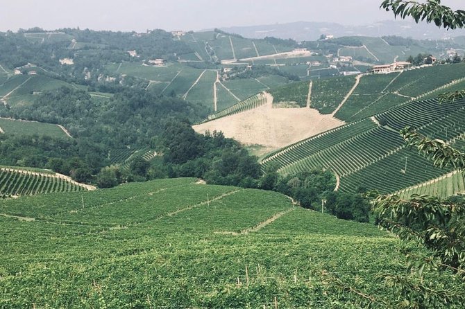 Private Barolo Wine Tour with Winemaker from Turin - Why This Tour Offers Great Value