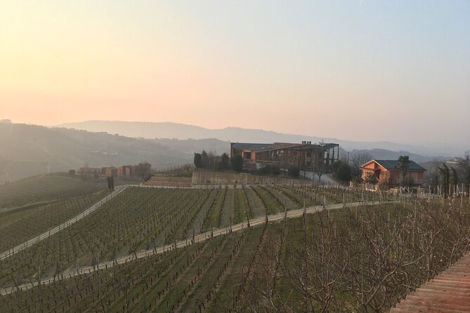 Private Barolo Wine Tour with Winemaker from Turin - Final Thoughts