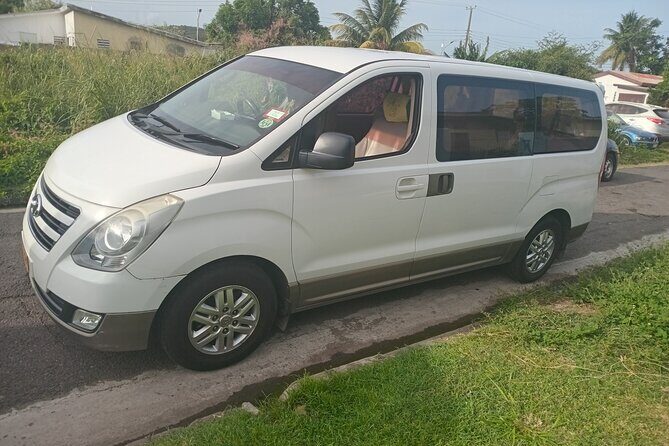 Private Basseterre Half Day Tour - Who Is This Tour Best For?