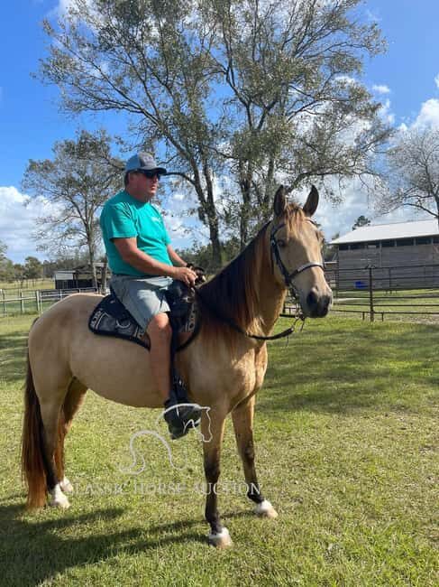 Private: Bavaro Adventure Park Full Access, Lunch Experience - Final Thoughts: Is It Worth It?