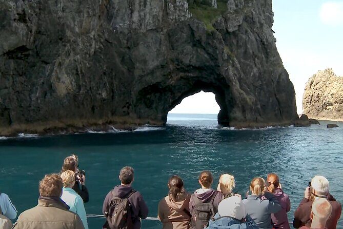 [PRIVATE] Bay of Islands Discovery From Auckland - An In-Depth Look at the Tour Experience